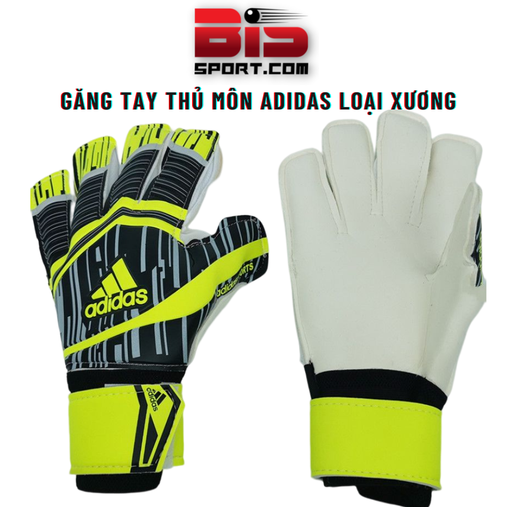 Bàn Bóng Bàn Simba S25 Chính Hãng